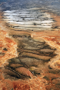 Cornish Landscape Photography: THERMAL PATTERN