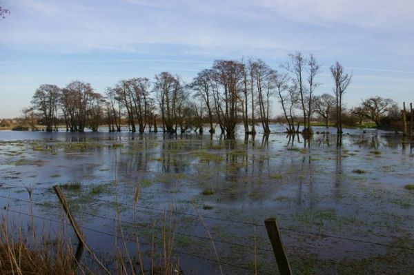 Dorsetgallery: Avon Causeway