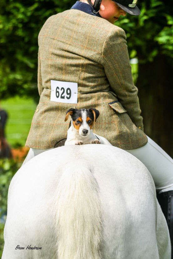 Hitching A Ride!: Brian Henderson Photography