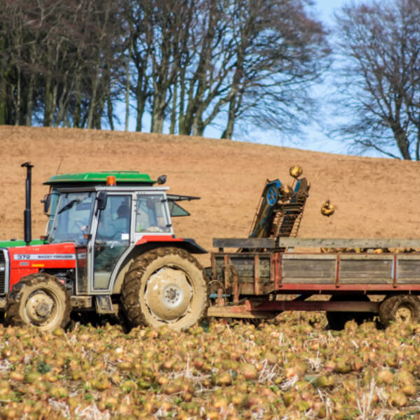 Farming & Agriculture: Brian Henderson Photography