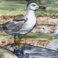 Field Sketches: Clare Russell Art