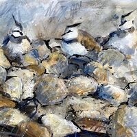 Studio Works: Clare Russell Art