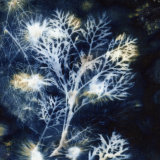 Mary's gallery: Bryning Art