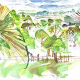 Sketches: Dianne Rigby Artist