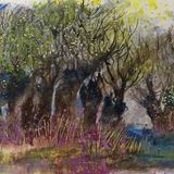 Landscapes: Dianne Rigby Artist