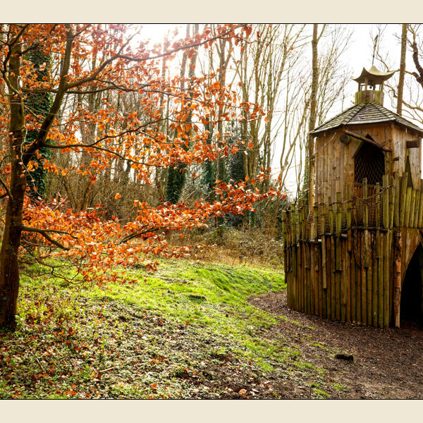 Hanham and Kingswood Photo Club