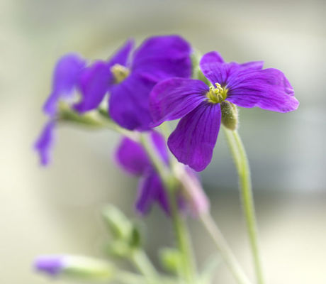 Welcome to Ian Gilmour Photography: Ian Gilmour Photography