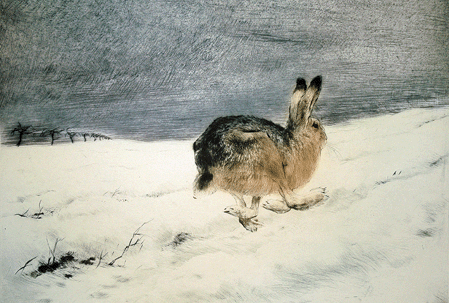 Imagine Gallery: Fleeing Hare
