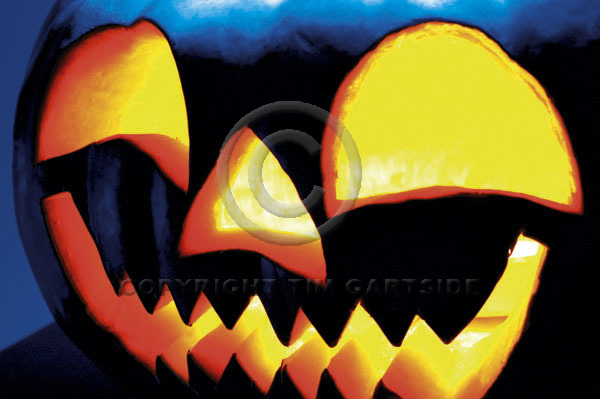 Fine Art Photography by Tim Gartside: blue pumpkin054