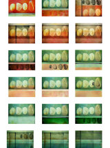 Still Life: Justine Miller Printmaker