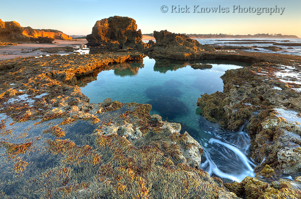 Rick Knowles Photography : Rockpool At Rocky Point