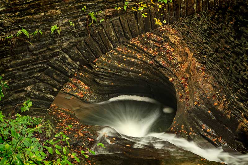 Michel Bury - PHOTOGRAPHIE DE NATURE PHOTOGRAPHY: Détail du Mile Point ...