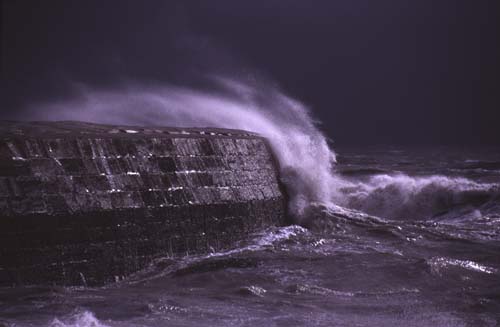 Ron and Maggie Tear Photography: Storm wave The Cob, Dorset