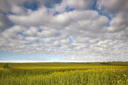 Lee Rudland Photography: Landscape