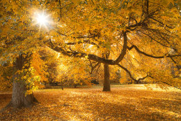 Lee Rudland Photography: Landscape