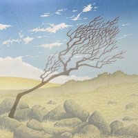 Lino cuts: Steve Manning - Printmaker