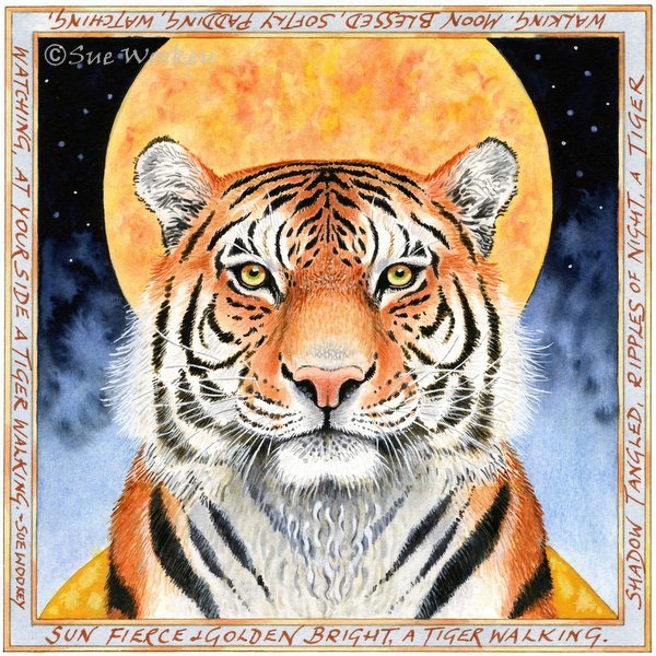 Tiger Sun's Instagram, Twitter & Facebook on IDCrawl