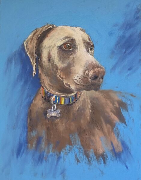 Animals & birds: Wendy Griffin Artist