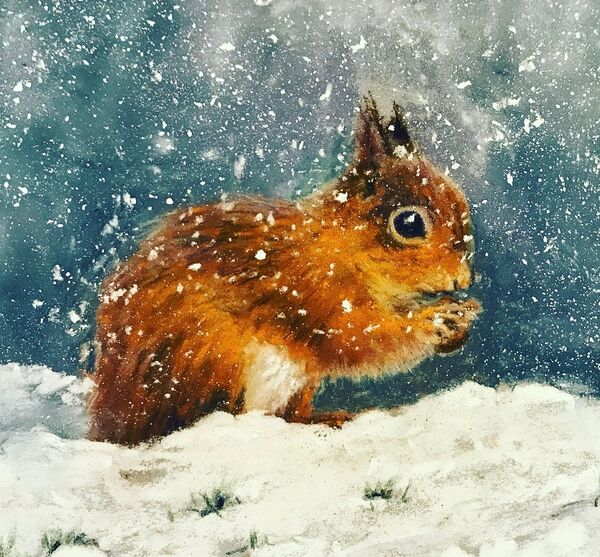 Animals & birds: Wendy Griffin Artist