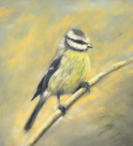 Animals & birds: Wendy Griffin Artist